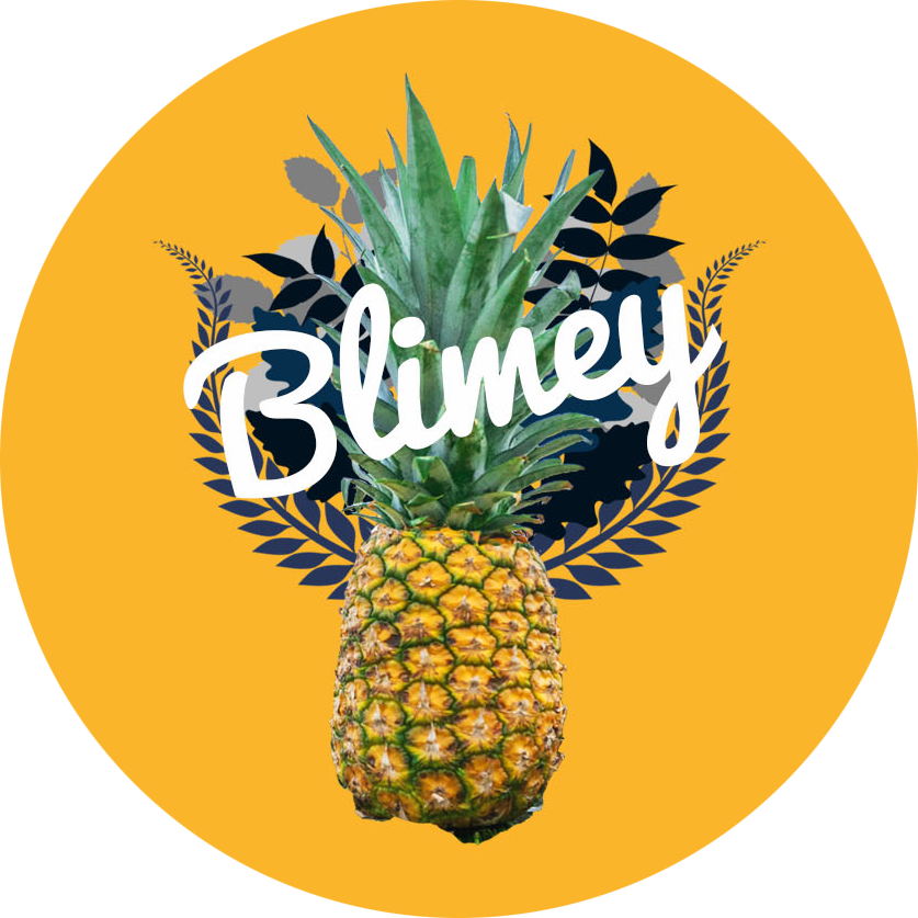 네이버 인플루언서: 블라이미의 홈