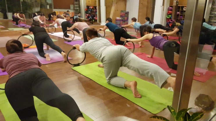 부산 진구 개금동 나무요가and필라테스 소도구필라테스 링필라테스 수업 네이버 블로그