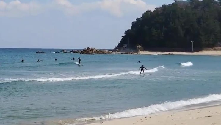 해변접한 리조트 서핑샵 양양 바닷가리조트양양 바닷가 펜션상가양양해변가 리조트부지양양바닷가 상가건물양양바닷가 연수원