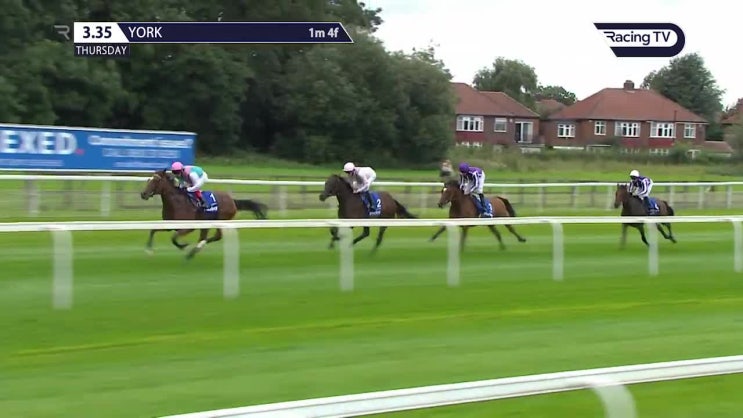 2019년 Yorkshire Oaks-Enable : 네이버 블로그