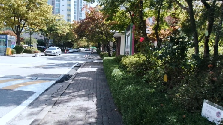 신일초신일중일산역 역세권 주변아파트일산역후곡마을 부동산 후곡주공일산동후곡마을아파트일산역 역세권주변 후곡주공11단지