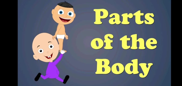 (미사영어학원)유튜브로 익히는 소리영어/ Parts of the body [랭귀지오딧어학원] : 네이버 블로그
