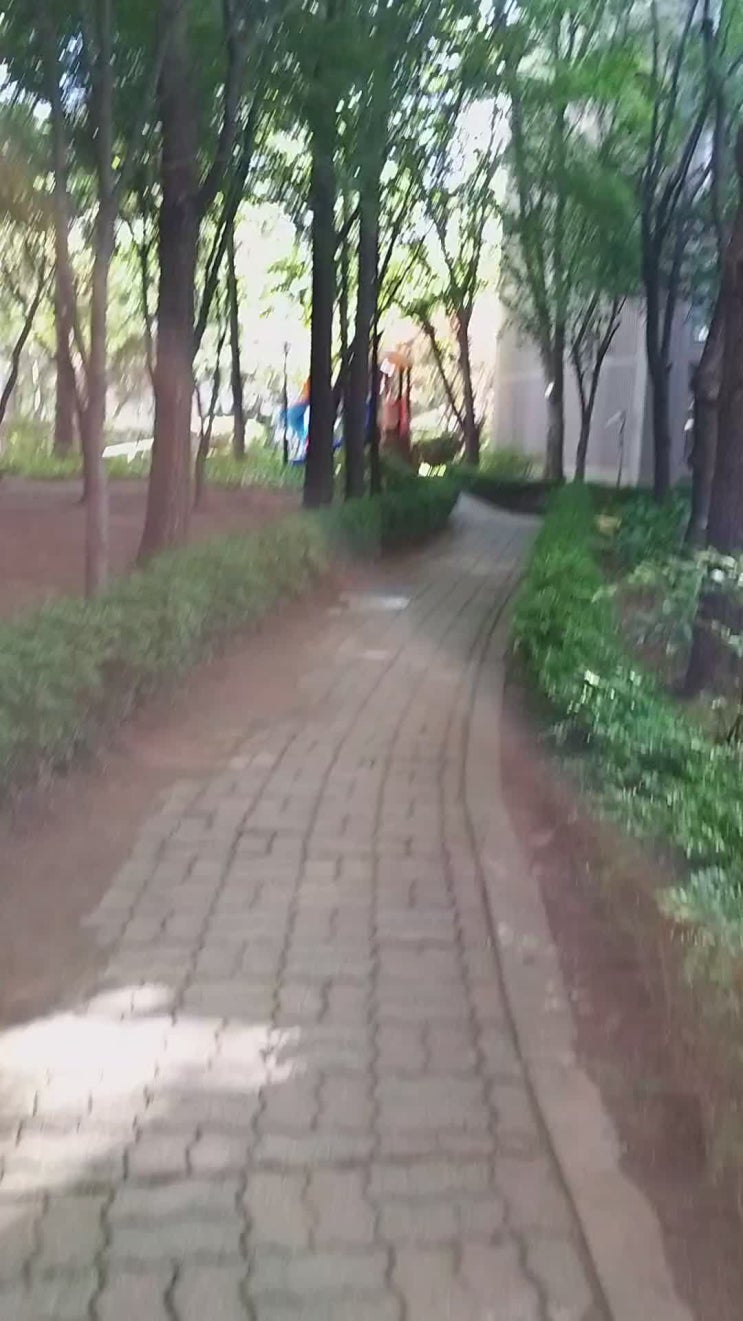 문화초 발산 중 오마 중 신일 중 일산 중학교 근거리 배정 일산동 일산역 주변 후곡 마을 아파트 일산동 일산역 주변