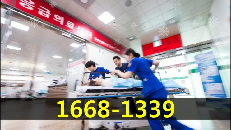 사설구급차 구급차 사설응급차 응급차 사설129 사설119 알콜중독 강제입원 강제이송 알콜병원 강제입원 강제이송 정신병원 강제입원