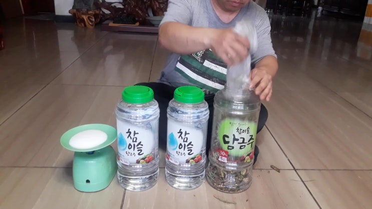 솔순과 솔방울 효능 및 효과와 담금주 만들기송화가루와 솔순 솔잎으로 담금주 만들기 네이버 블로그