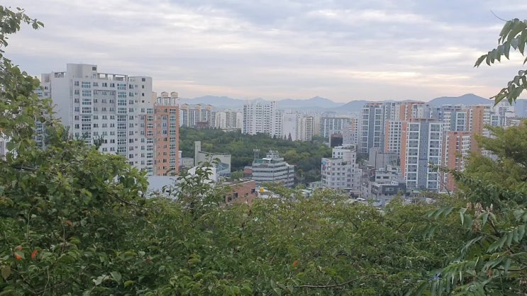 신금호역 주변 신축아파트 매매 거래 추이 분석 E편한세상금호파크힐스신금호파크자이래미안하이리버금호자이1차 네이버 블로그