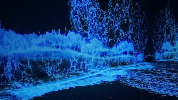 [국제갤러리] a'strict(에이스트릭트) 'Starry Beach' 전시 - 미디어 아트로 재현된 빛나는 파도 : 네이버 블로그