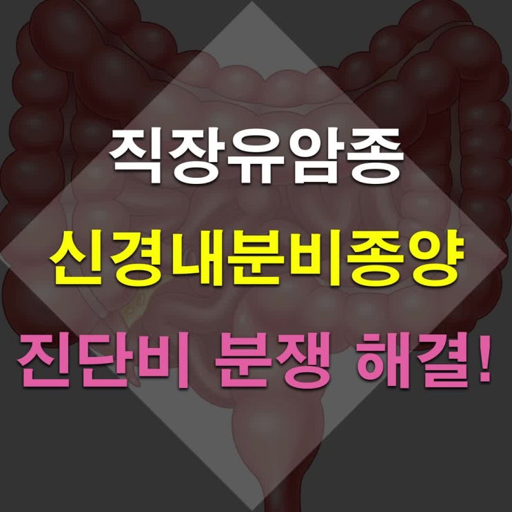 D375 직장신경내분비종양 Net 일반암 진단비 방법은 간단해요 네이버 블로그