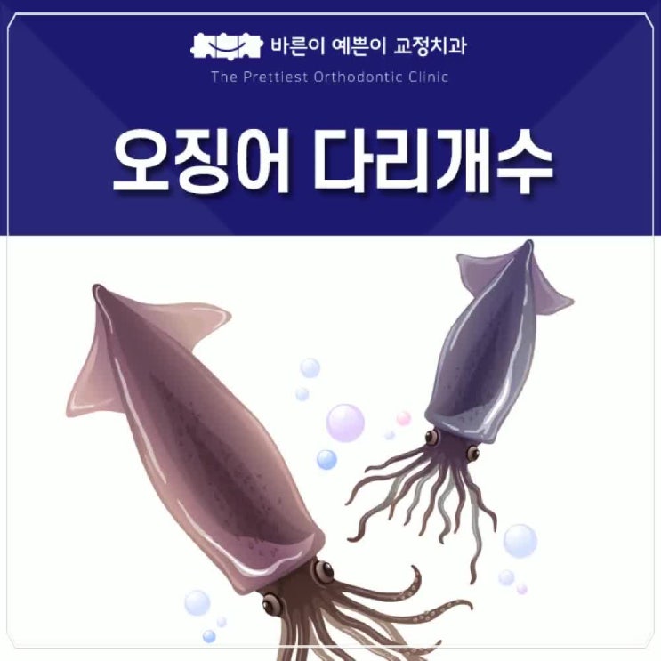오징어 다리개수는 정확하게 몇개 일까요 네이버 블로그