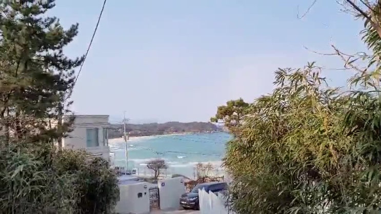 동산해수욕장 풀 조망 토지입니다 양양 바다조망 토지동산해변 토지양양 동산리 토지죽도해변 토지인구해변 토지바닷가 펜션