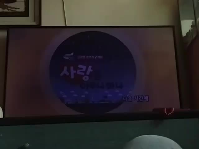 YTN Life(현.YTN2) NEXT - 구석구석 코리아 : 네이버 블로그