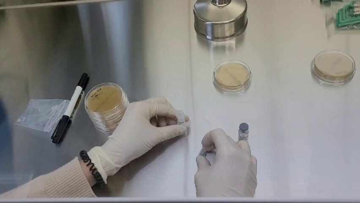 Bioball을 사용한 Rodac Plate 배지성능시험 : 네이버 블로그