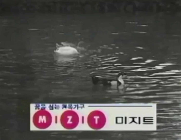 KBS2 ID - 청둥오리 (1996년) : 네이버 블로그