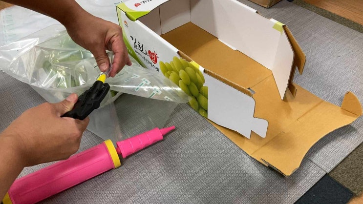 포도포장 샤인마스캇포장 샤인머스켓포장 어떻게 포장 할 수 있을까 네이버 블로그
