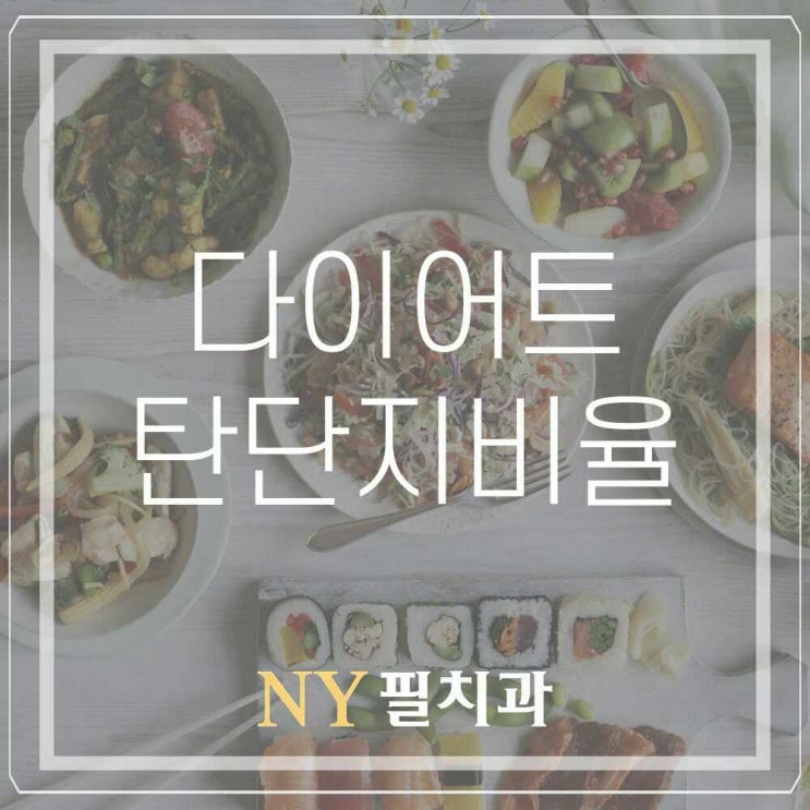 다이어트 탄단지 비율 계산하고 식단 쉽게 짜는 법 네이버 블로그