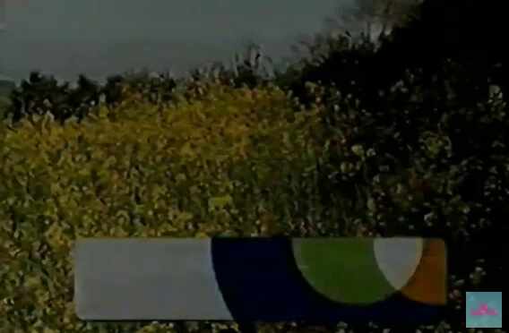 EBS(현 EBS1) ID - 유채꽃 (2005년 7월) : 네이버 블로그