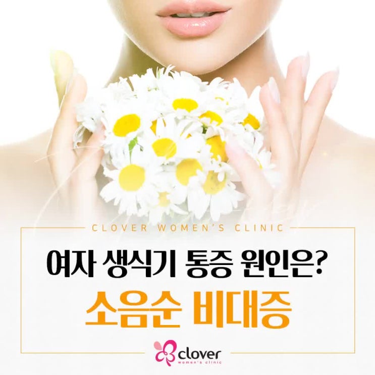 여자 생식기 통증 원인은 소음순 비대 네이버 블로그