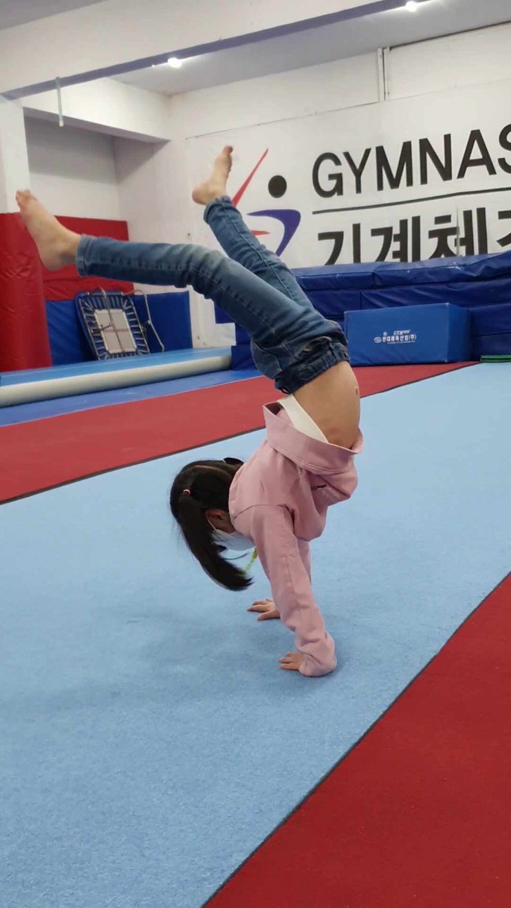 청주체조학원 기계체조전문학원 임용실기전문 임용체육전문 핸드스프링 백핸드스프링 링머슬업 철봉머슬업 평행봉