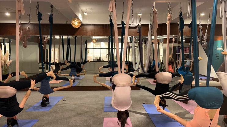 북가좌동요가원 애플요가원 애플플라잉요가 플라잉요가 해먹과 친해지기 어렵지만 재밌어요 유연성 기르기 체형교정