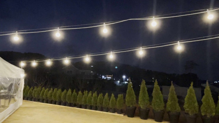 간절곶 울산 카라반 머물곶 솔직담백 숙박 후기 네이버 블로그