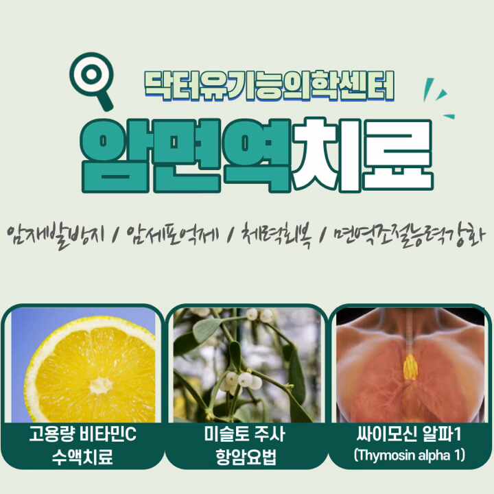 암면역치료 고용량비타민c And 미슬토 주사 And 싸이모신알파1 네이버 블로그