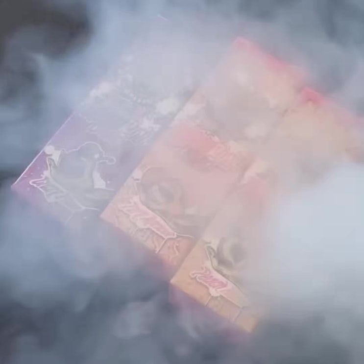 좀비런 입호흡 전자담배 액상 미친자두 피치홀릭 퓨리살구 보루 천안 두정동 네이버 블로그