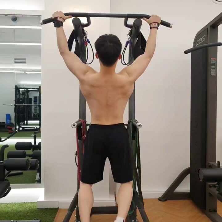 등 운동 루틴 광배근 발달에 좋은 풀업턱걸이과 랫풀다운의 차이점 네이버 블로그