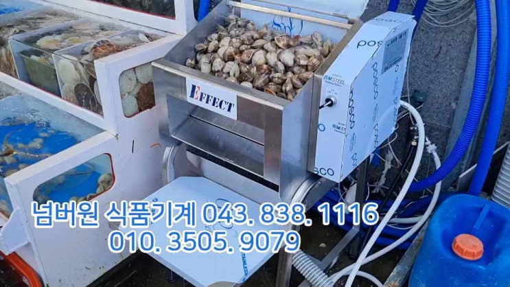 조개세척기바지락세척기칼국수기계조개세척기계조개씻는기계키조개세척기계백합세척기계동죽세척기계넘버원식품기계 네이버 블로그