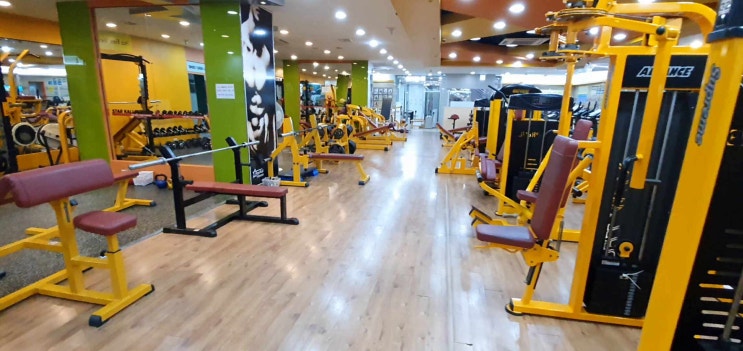 오금동 가락동 오금역 Pt 헬스장 스타칼리휘트니스 여름특별 이벤트 헬스 6개월 30만원 학생특별할인 헬스 3개월 15만원