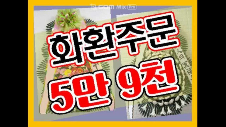 전주고려병원장례식장 근조화환 세세하게 제작 전북대학교장례식장 장례식조화 화환오브제 전주 덕진구 신장개업화환 근방 꽃집 정보