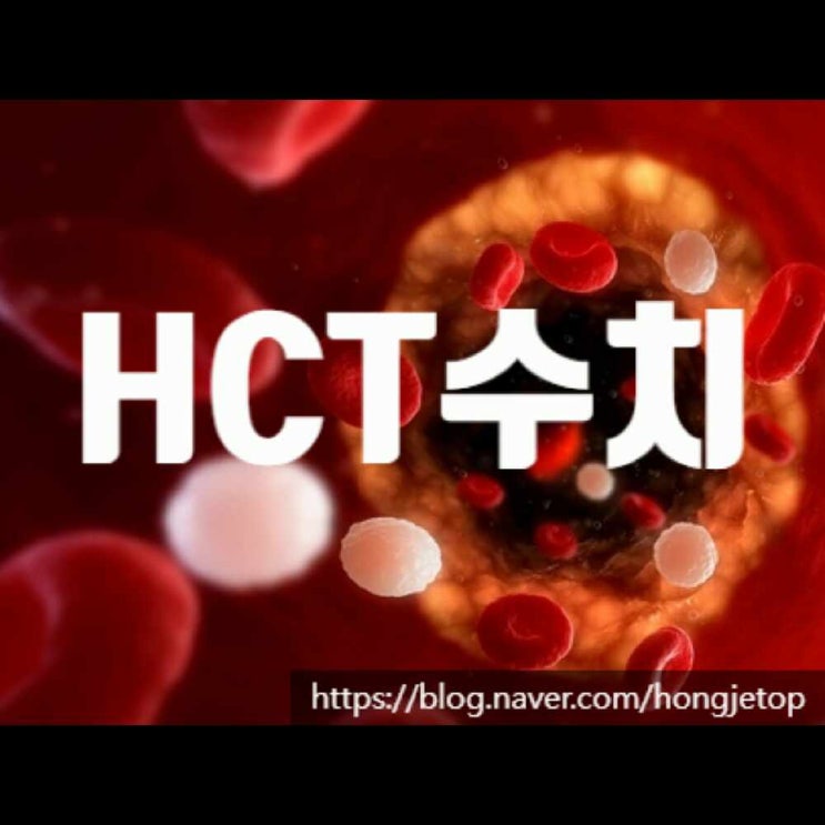 HCT 수치 정상 범위 높을 때와 낮을 때 : 네이버 블로그