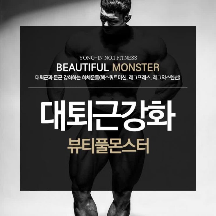 용인피트니스 대퇴근과 둔근 강화하는 하체운동추천핵스쿼트머신 레그프레스 레그익스텐션 네이버 블로그