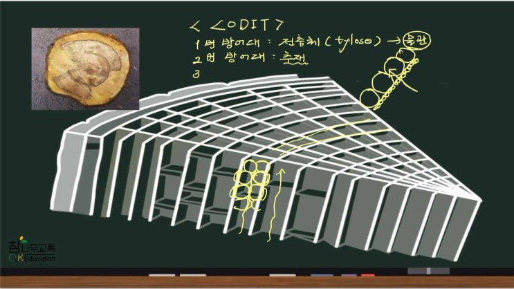 [ 그림톡 ] CODIT이론에 대해 설명해주세요 : 네이버 블로그