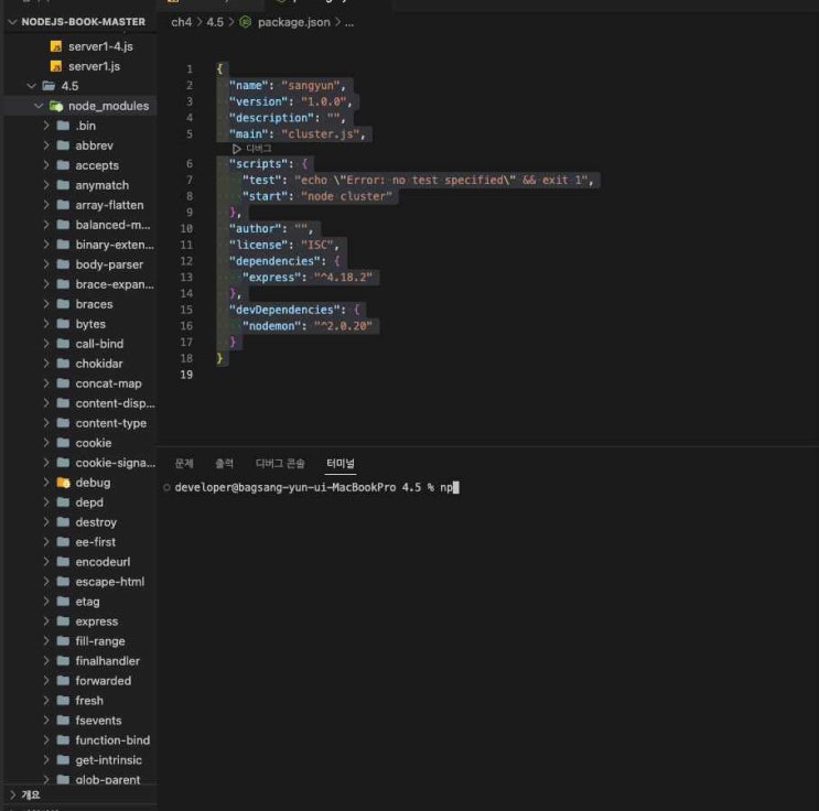 node_modules,npx,SemVer : 네이버 블로그