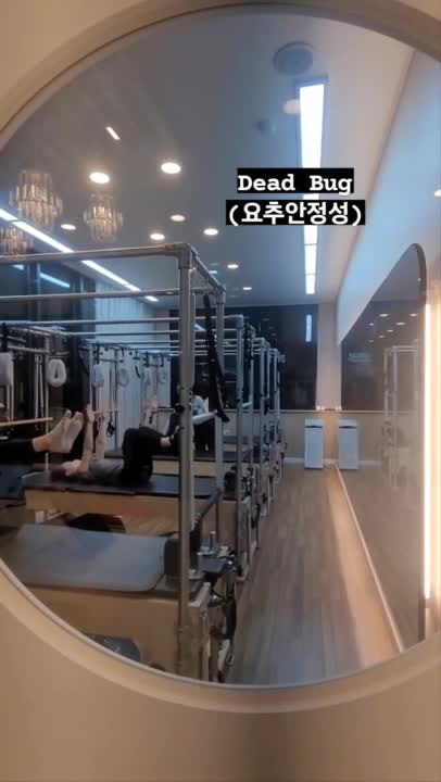 [도안동필라테스]척추 안정성에 좋은 운동 (Dead Bug) : 네이버 블로그