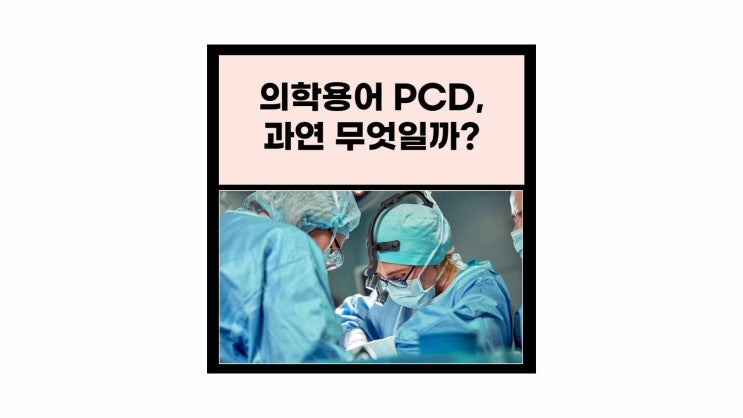 의학용어 PCD, 과연 무엇일까? : 네이버 블로그