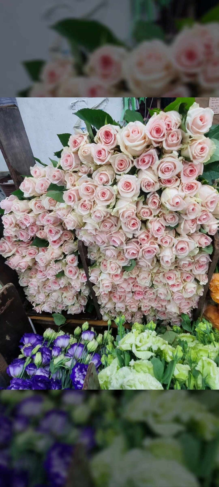 남대문꽃상가 남대문꽃시장 남대문꽃시장 영업시간 남대문꽃시장주차 대도꽃상가 대도꽃시장 회현역꽃시장 네이버 블로그