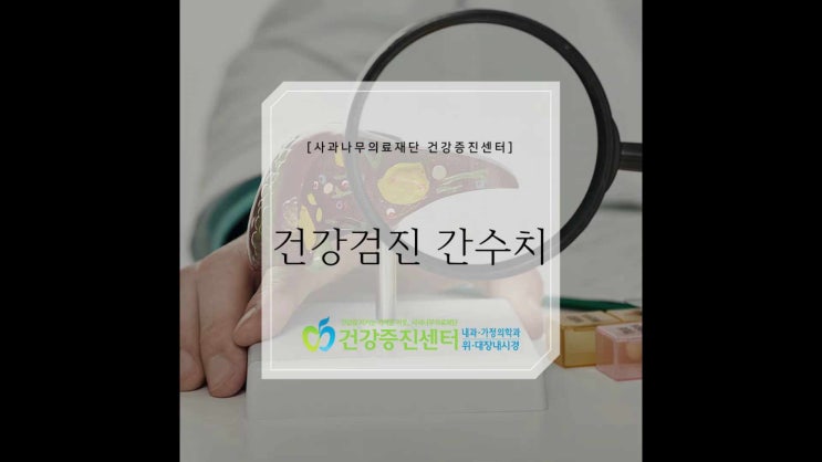 건강검진 간수치 지방간수치 간암표지자 간암위험도 예측 네이버 블로그