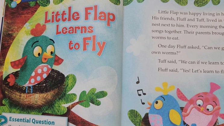 Little flap learns to fly : 네이버 블로그