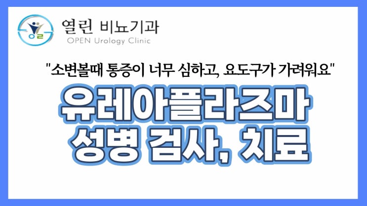 청량리역비뇨기과 요도구가려움 소변볼때통증 하복부통증 빈뇨 야간뇨 혈뇨 질분비물증가 악취 남자성기통증 요도분비물