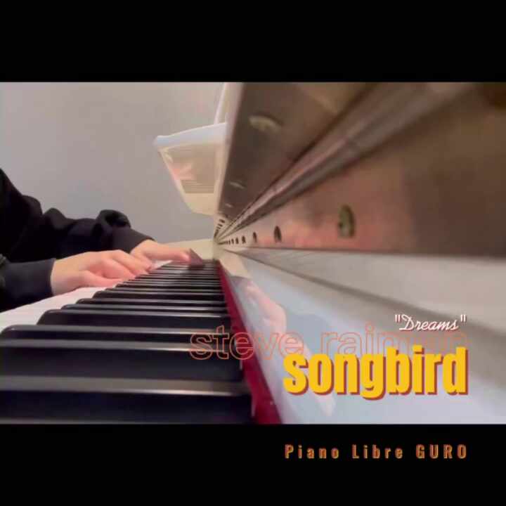 Songbird - Steve Raiman : 네이버 블로그