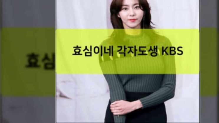 효심이네 각자도생 Kbs 2 주말드라마 온에어 실시간 시청 보러가기 티비 재방송 다시보기 출연진 등장인물 기본정보