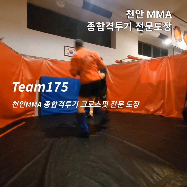 천안mma 종합격투기 킥복싱 크로스핏 여성호신술 전문도장특전사특수부대 체력전문기관 네이버 블로그