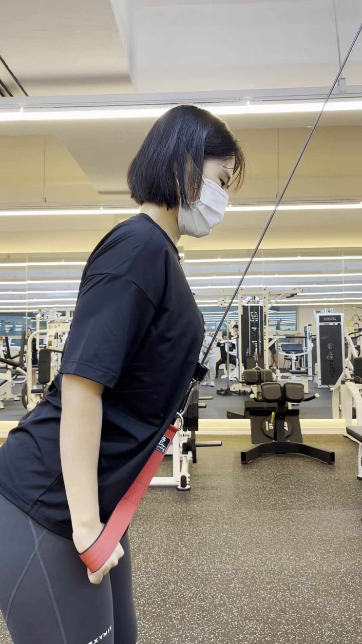 만덕 피티 만덕 헬스장 Pt 맛집 팰리스 피트니스 팔뚝살을 근육으로 만드는 방법 케이블 푸쉬다운 네이버 블로그
