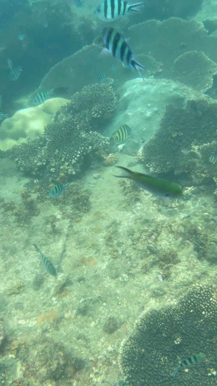 베트남 푸꾸옥 호핑투어 꿀팁 정독하세요 내돈내산100프로 보물섬투어 푸꾸옥고스트이용후기 고스트트래블 여행기록10 네이버 블로그