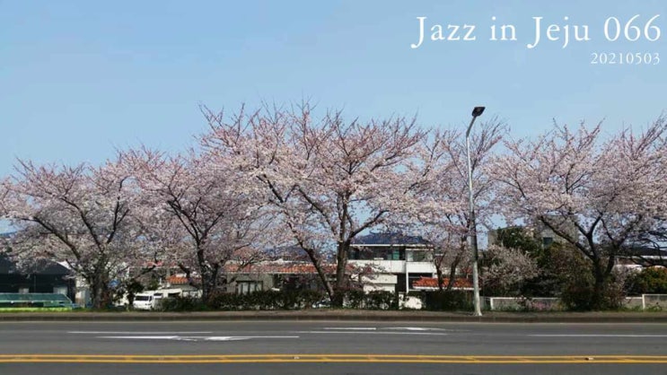 Jazz in Jeju 066 'Dance' : 네이버 블로그