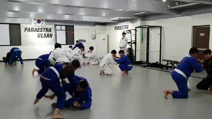 울산다이어트 울산주짓수전문체육관 파라에스트라울산과함께 즐겁게 다이어트해보세요 네이버 블로그