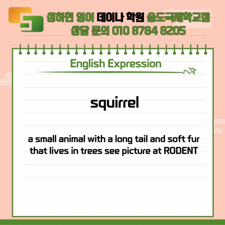 squirrel : 네이버 블로그