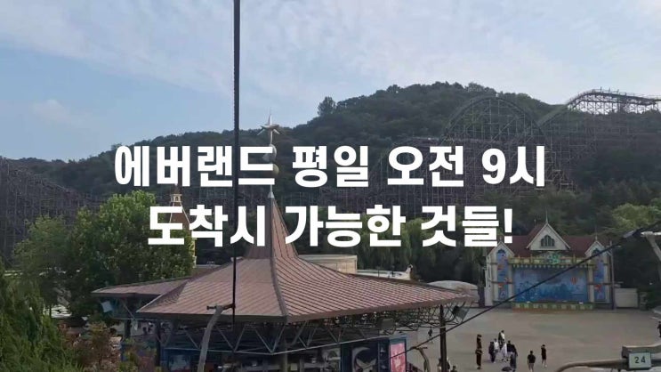 에버랜드 평일 오전9시 정문주차장부터 티익스프레스사파리판다월드 스마트 줄서기 네이버 블로그