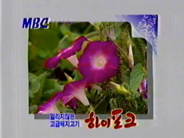 MBC id영상 년도불명 나팔꽃 (사진으로) : 네이버 블로그